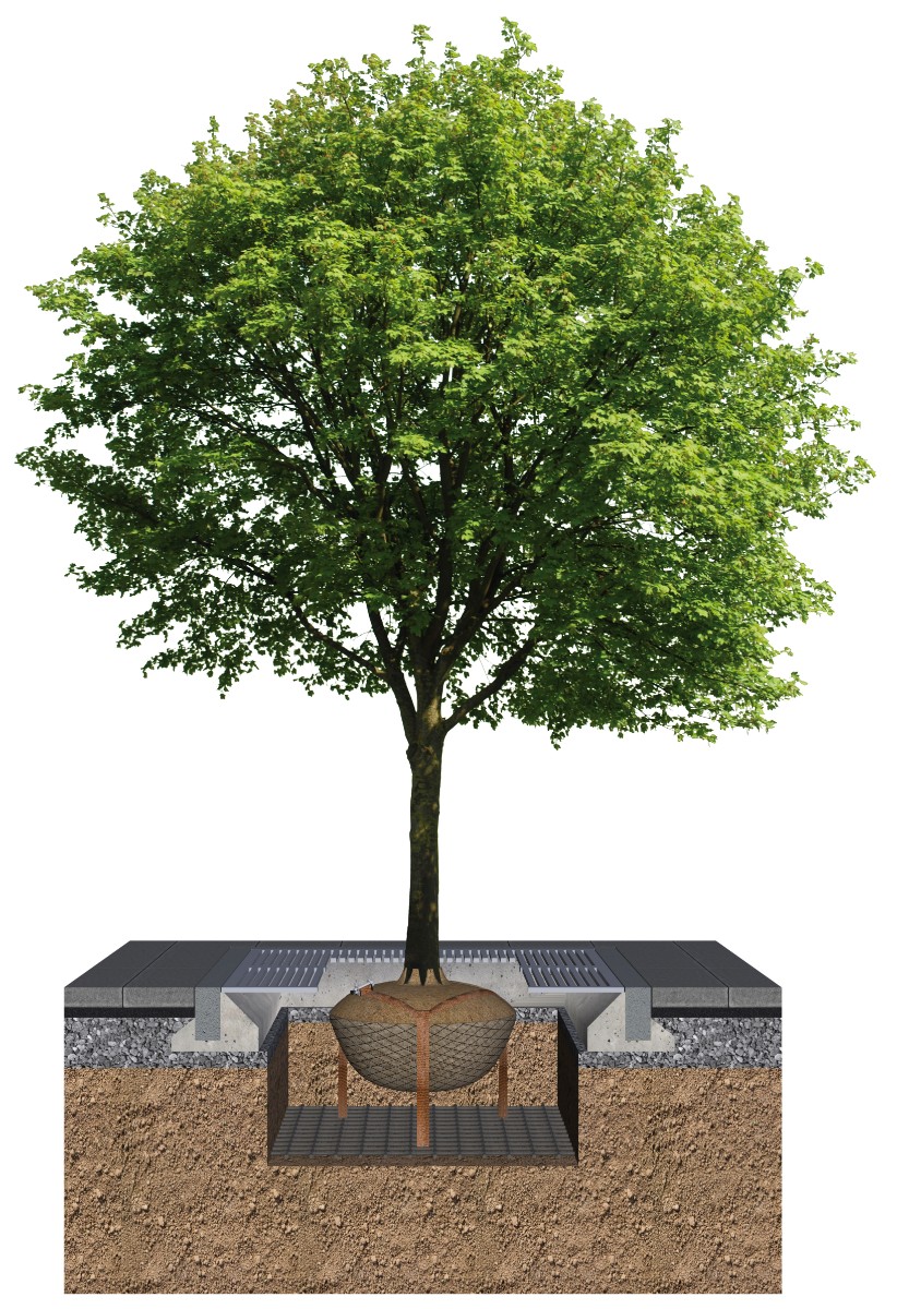 Treelock Verankerungen