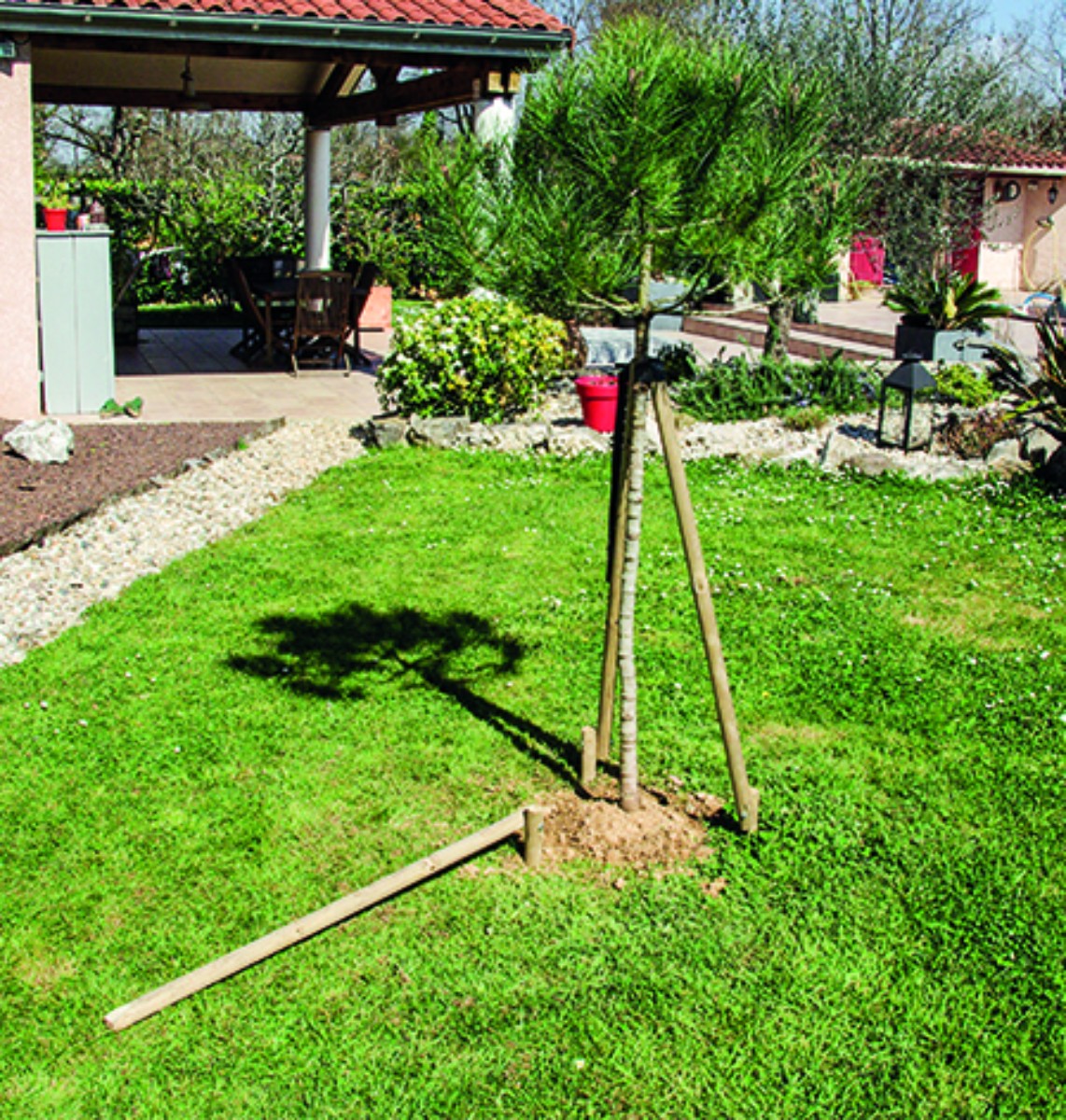 Treelock Verankerungen