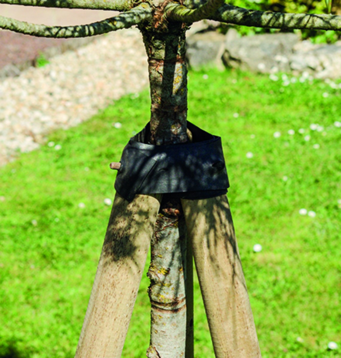 Treelock Verankerungen