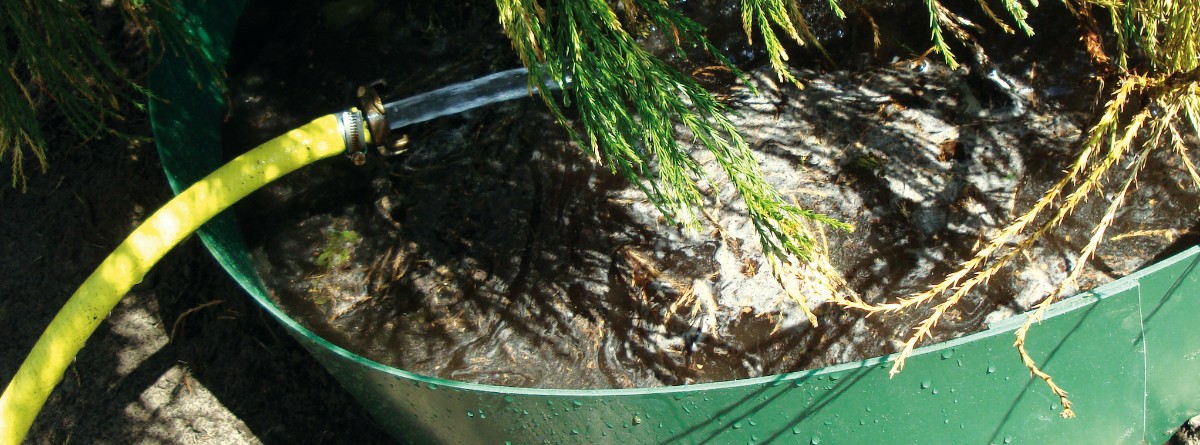 bewasserung belueftung